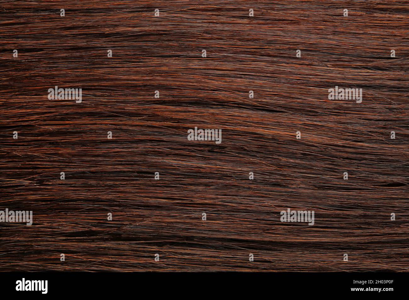 Texture of healthy brown hair as background, closeup Stock Photo - Alamy