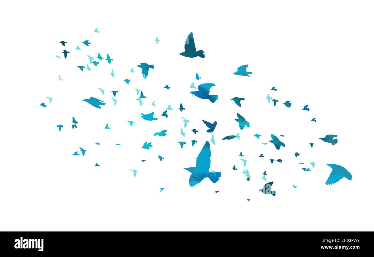 A flock of flying blue birds. Free birds. Vector illustration Stock ...