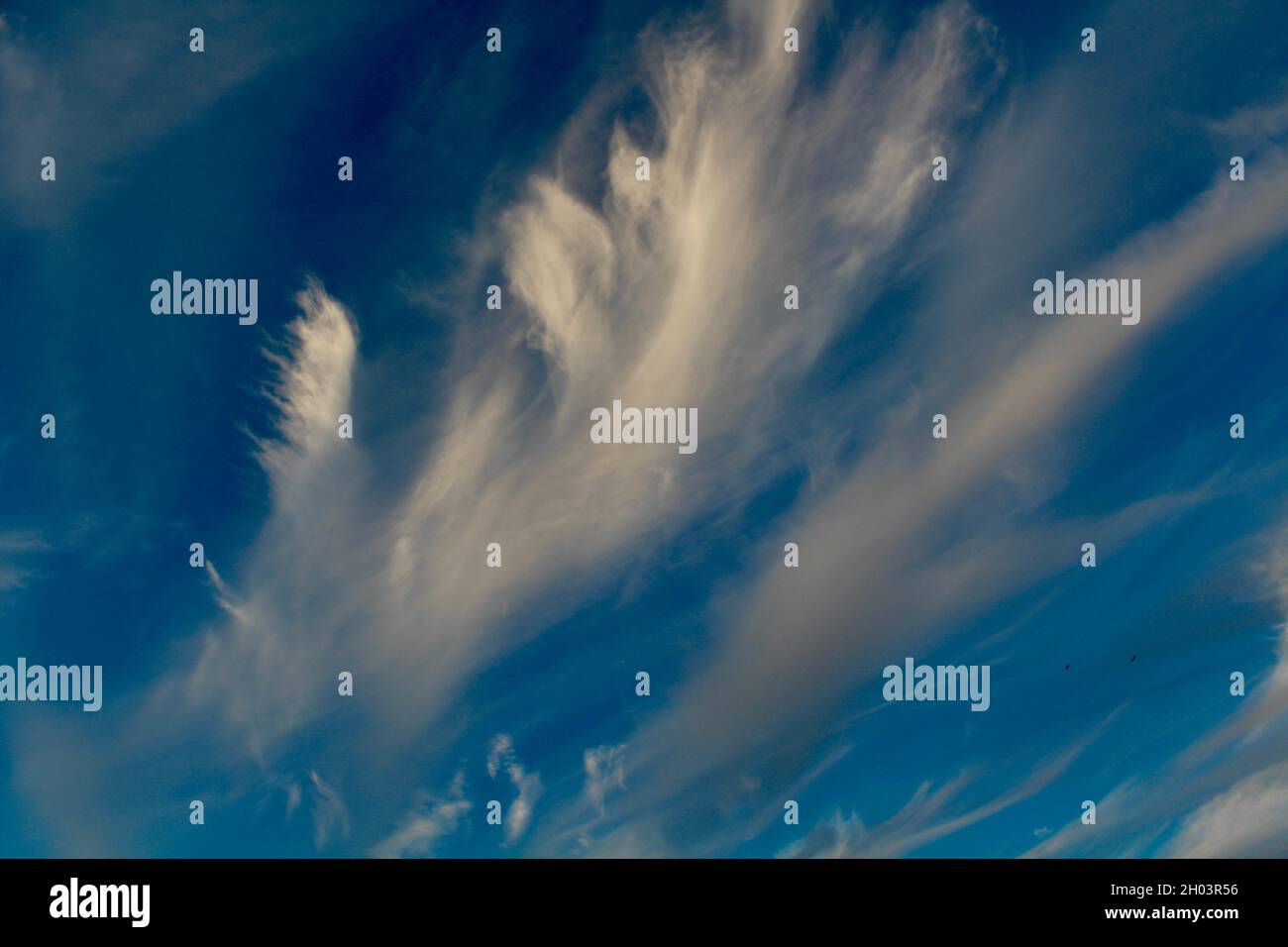 Ice streamer cloud hi-res stock photography and images - Alamy