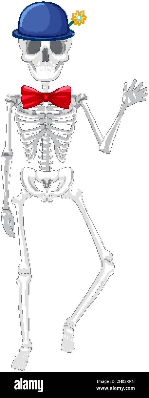 Isolated human skeleton anatomy illustration Stock Vector Image & Art ...