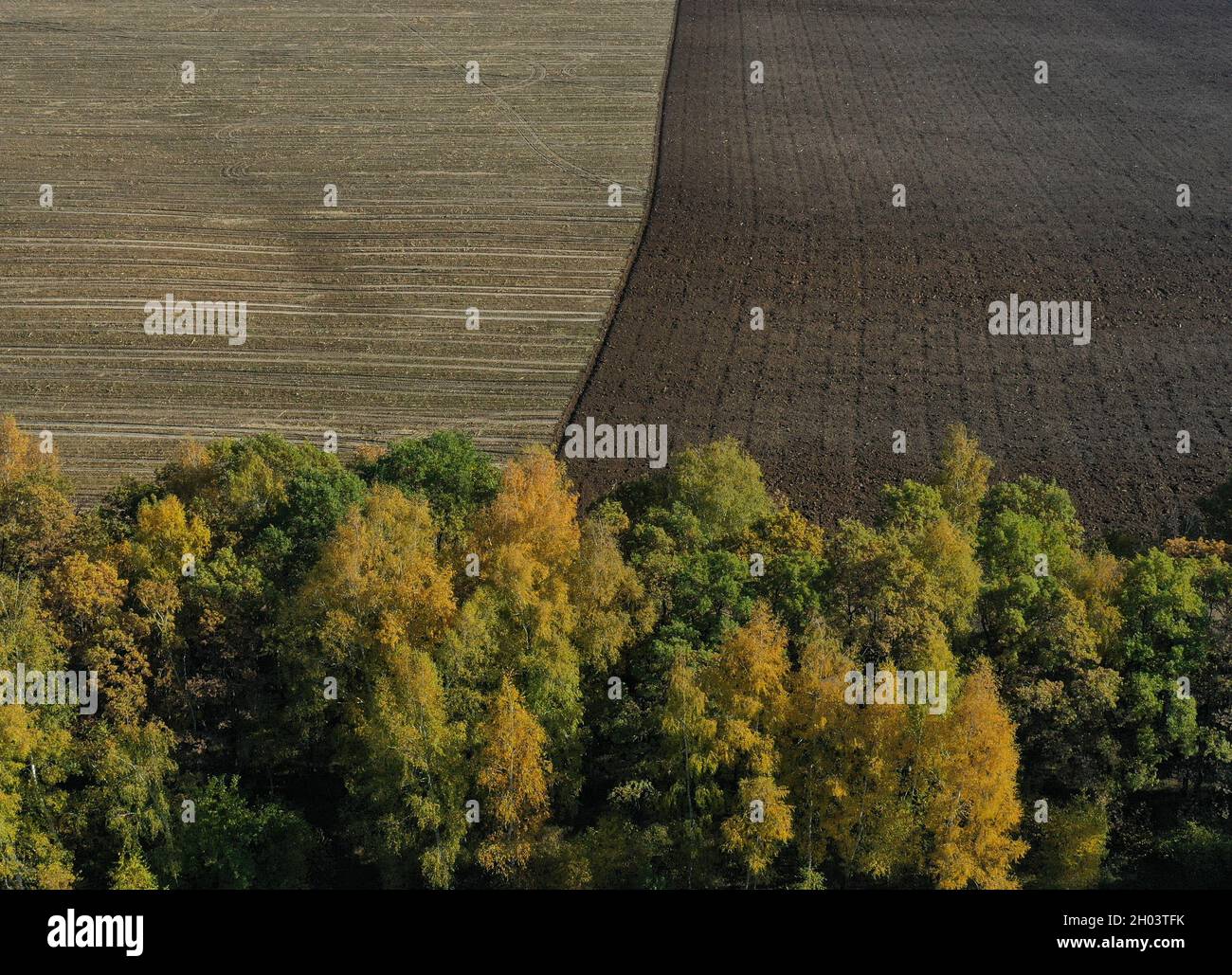 Ryazan Region, Russia. 11th Oct, 2021. An aerial view of the fields and trees in mid autumn ...