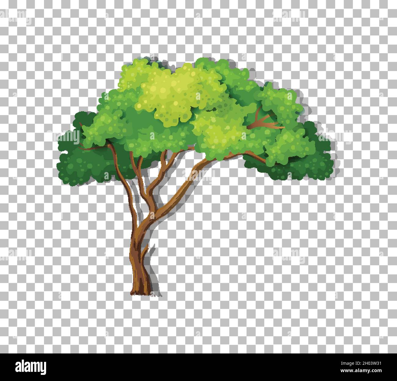 Tree on transparent background illustration Stock Vector Image & Art ...