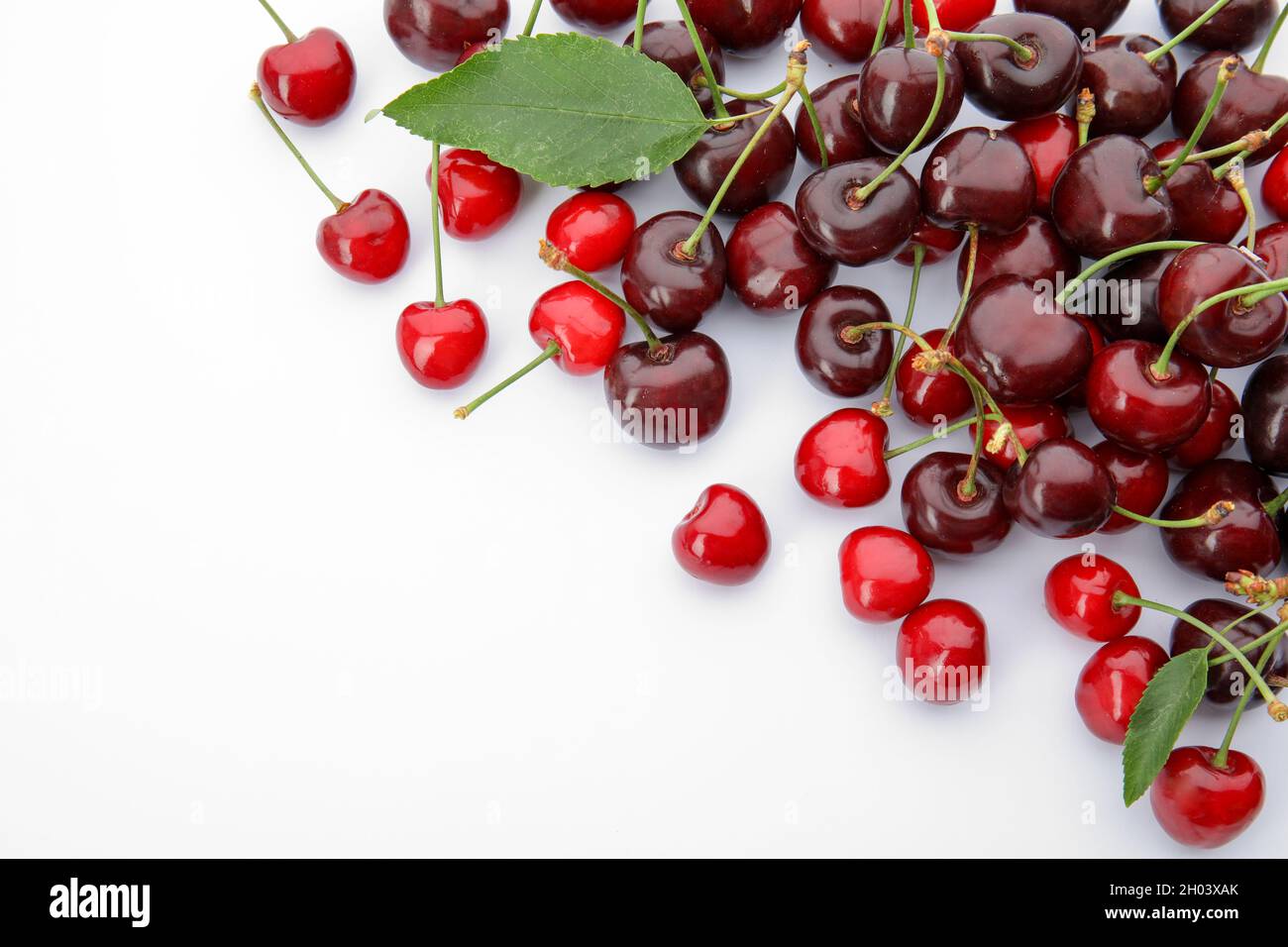 Sweet red cherries on white background Stock Photo - Alamy
