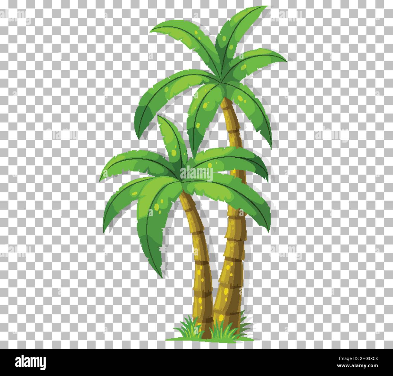 Palm tree on transparent background illustration Stock Vector Image ...
