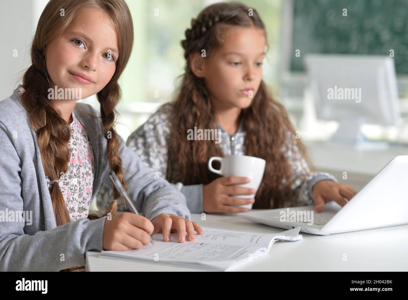 Beautiful girls studying at the desk with laptop in class room Stock ...