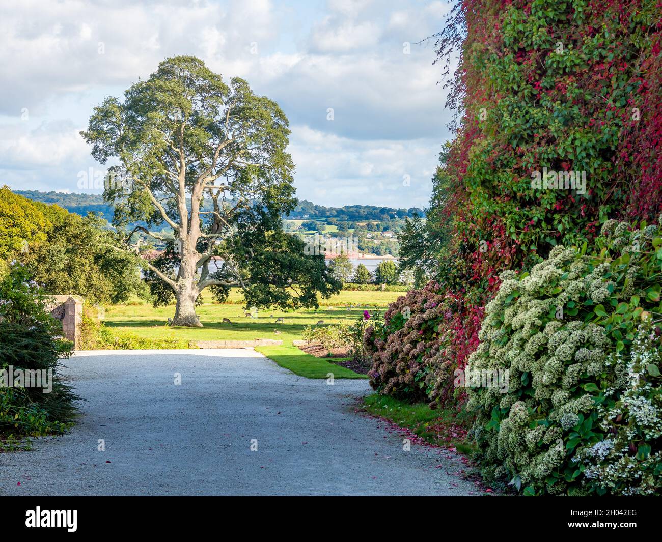 Historic Castle grounds in south-east Devon Stock Photo - Alamy