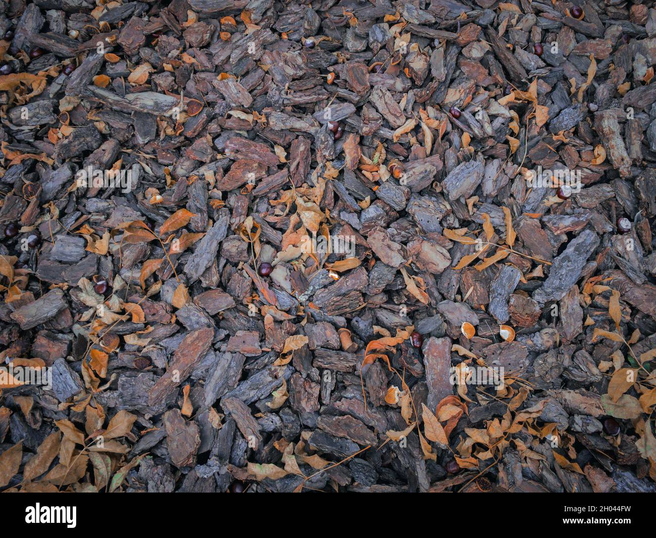 Autumn brown wood bark with yellow dry leaves, top view. Autumn wooden ...