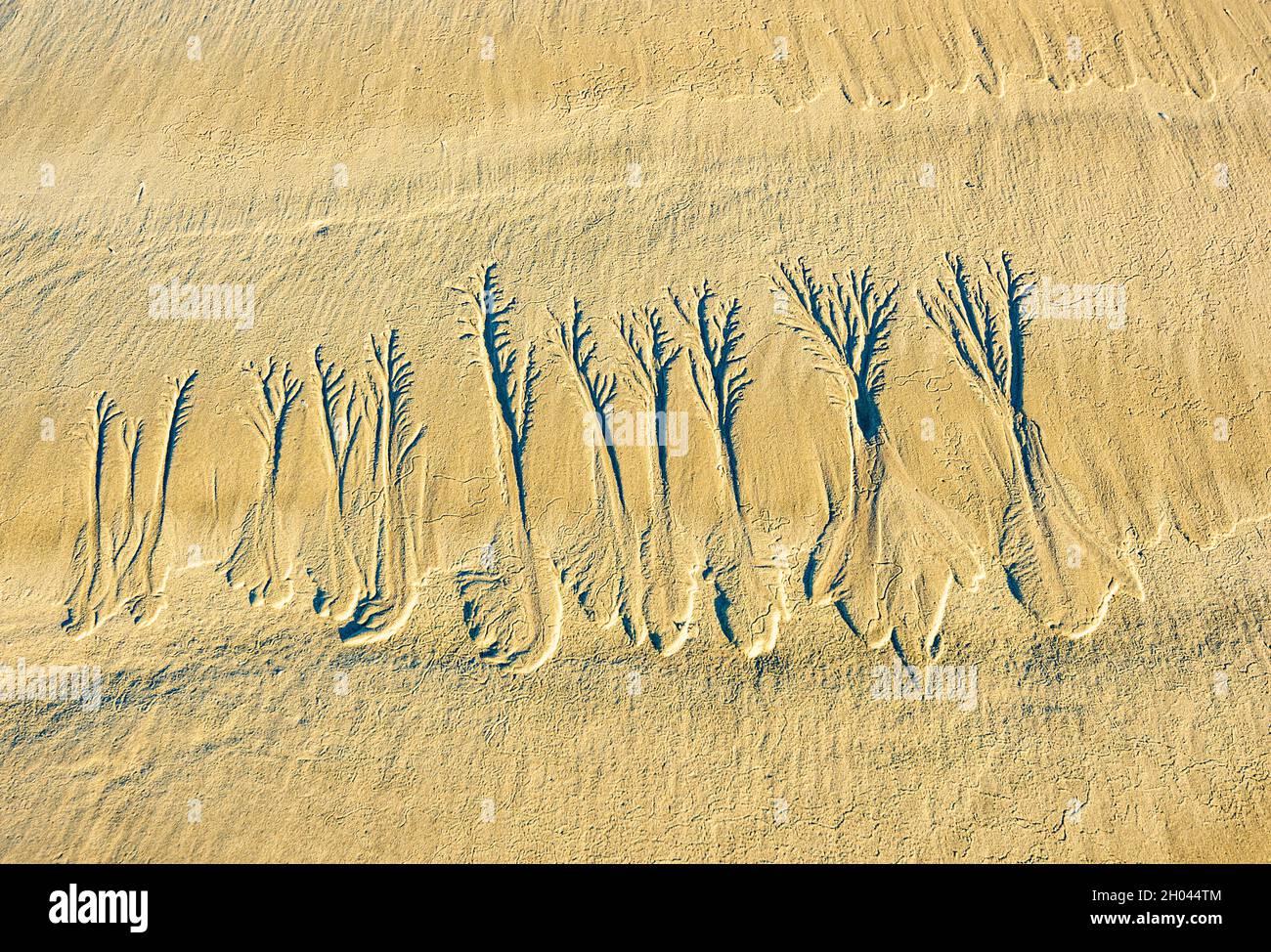 Patterns in the sand at Eighty Mile Beach, Western Australia, WA ...