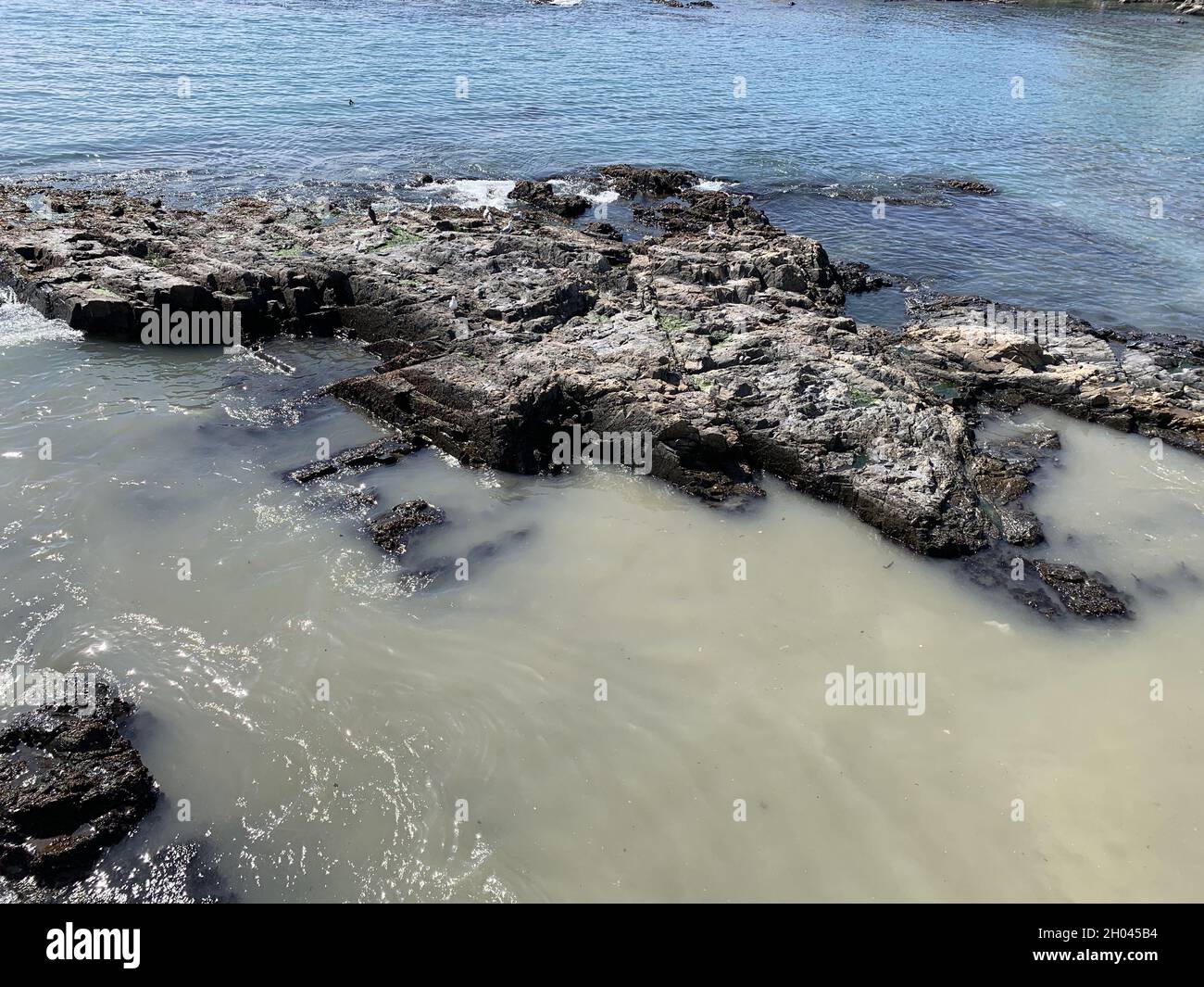 Beach sea point cape hi-res stock photography and images - Alamy