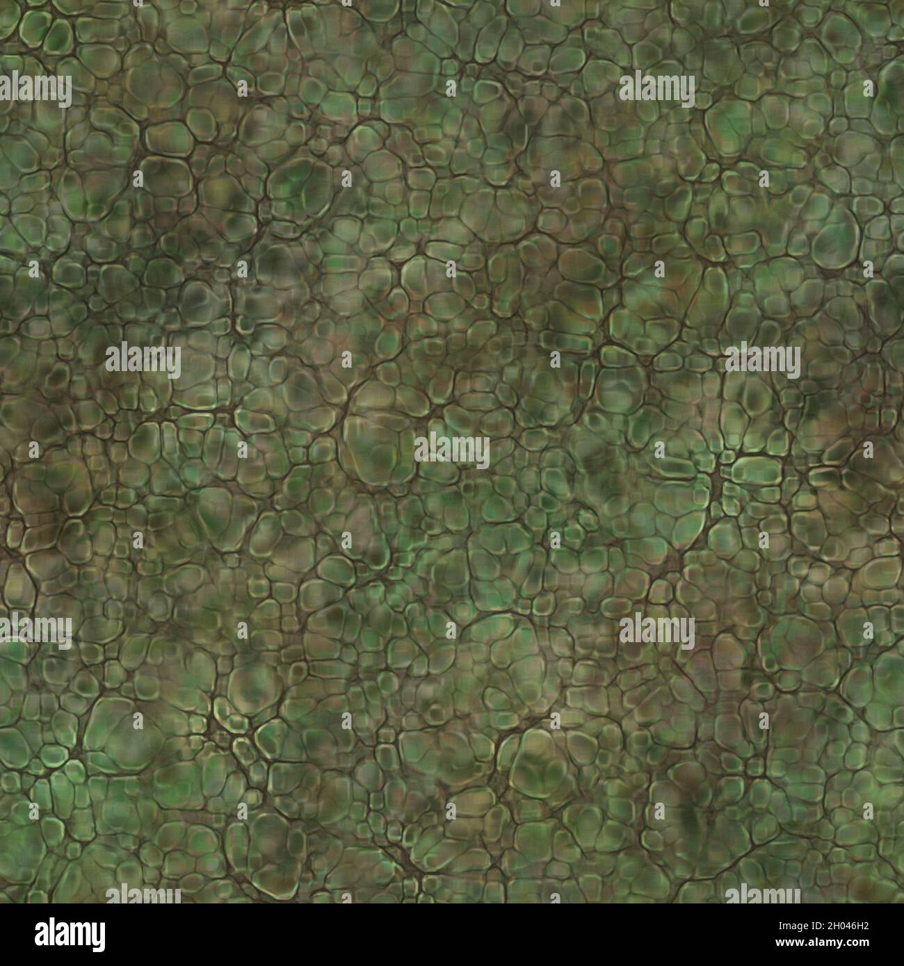 Cartoon seamless texture of color fantasy cobble stone ground pavement ...