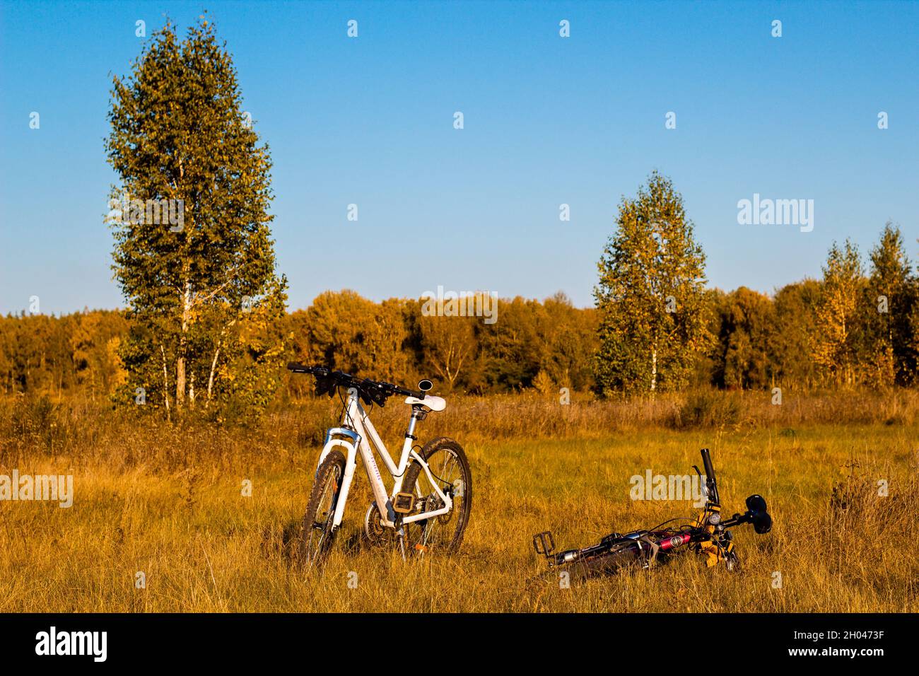 Cycling in a natural autumn landscape of fields Stock Photo - Alamy