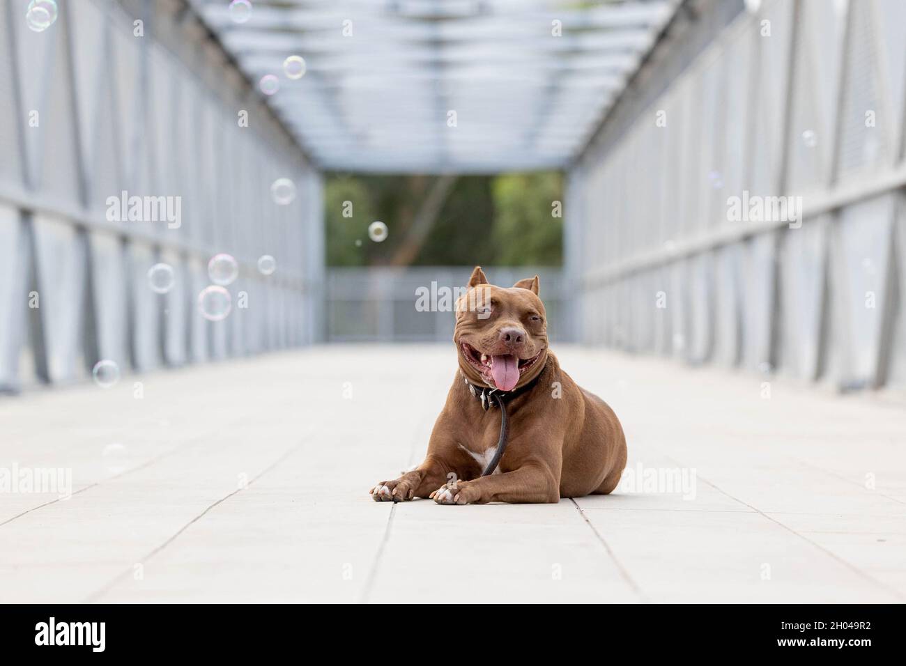 Female sad on bridge hi-res stock photography and images - Alamy