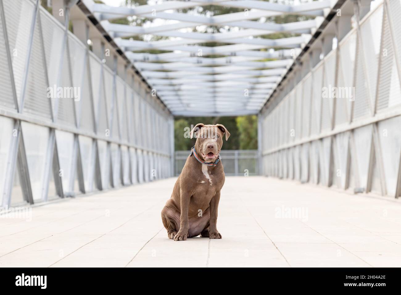 Female sad on bridge hi-res stock photography and images - Alamy