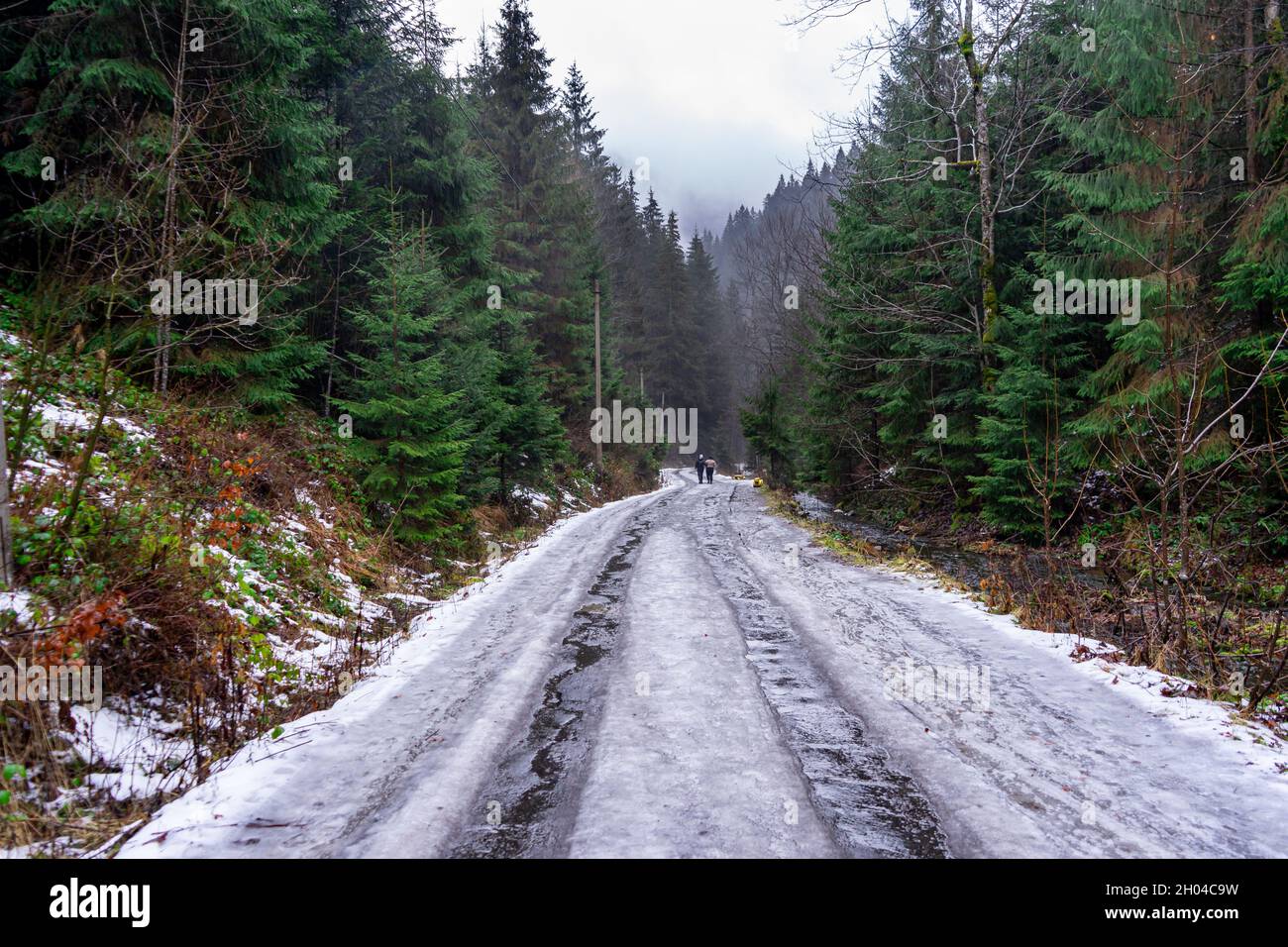 Ice path in the forest Stock Photo - Alamy