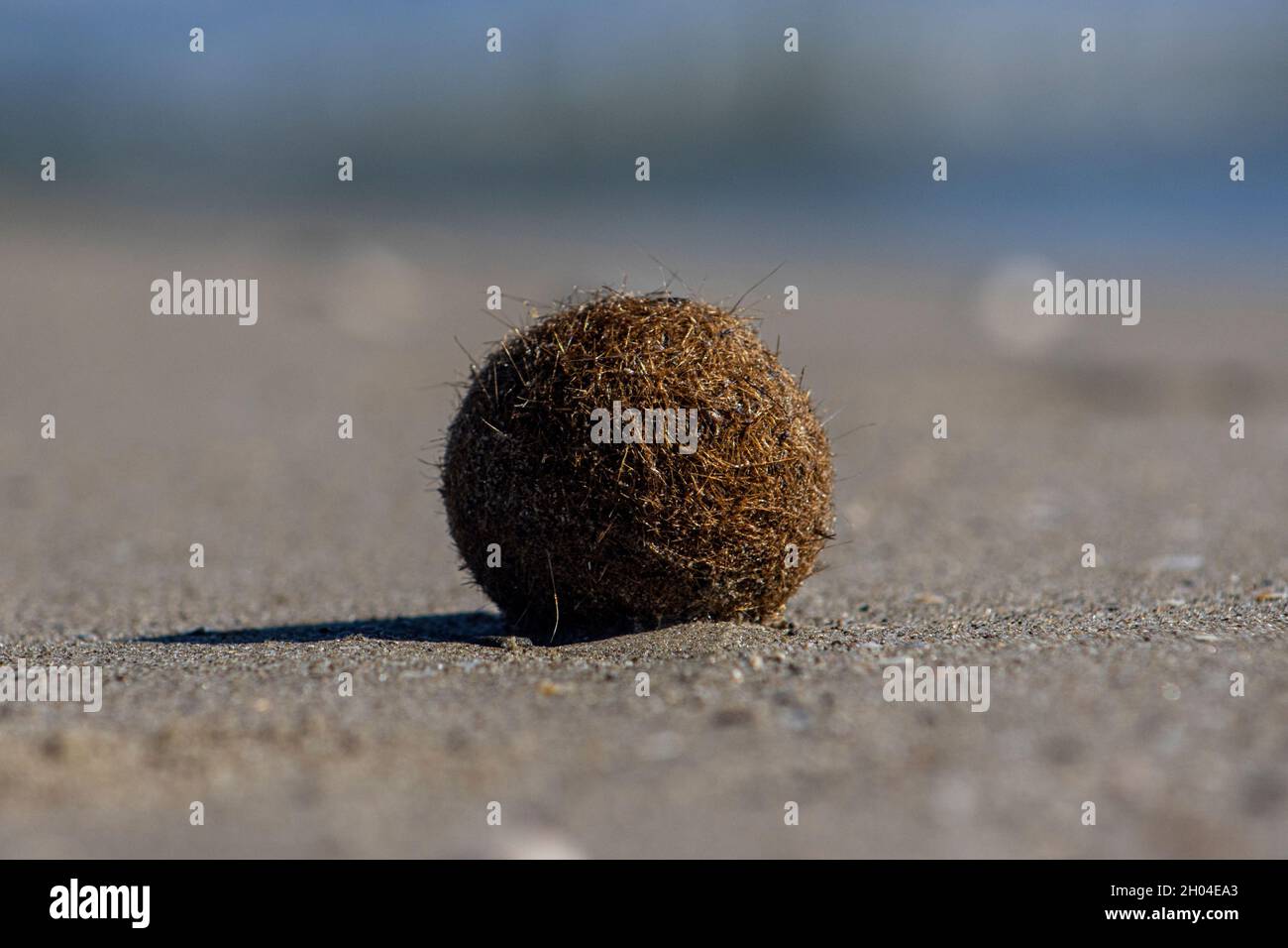 Neptunes balls hi-res stock photography and images - Alamy