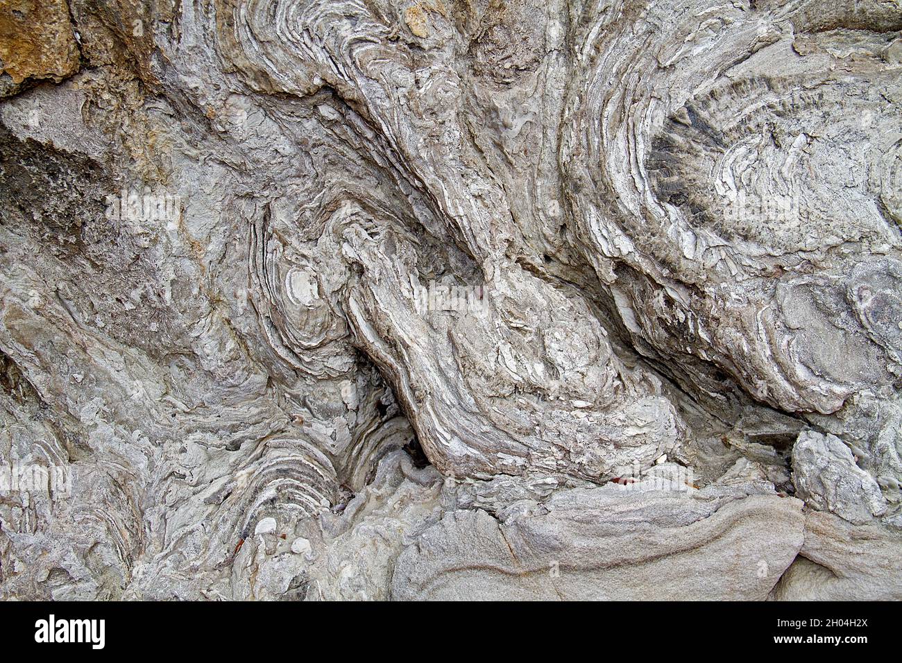Closeup of layered rock, deformed by compressive forces Stock Photo - Alamy