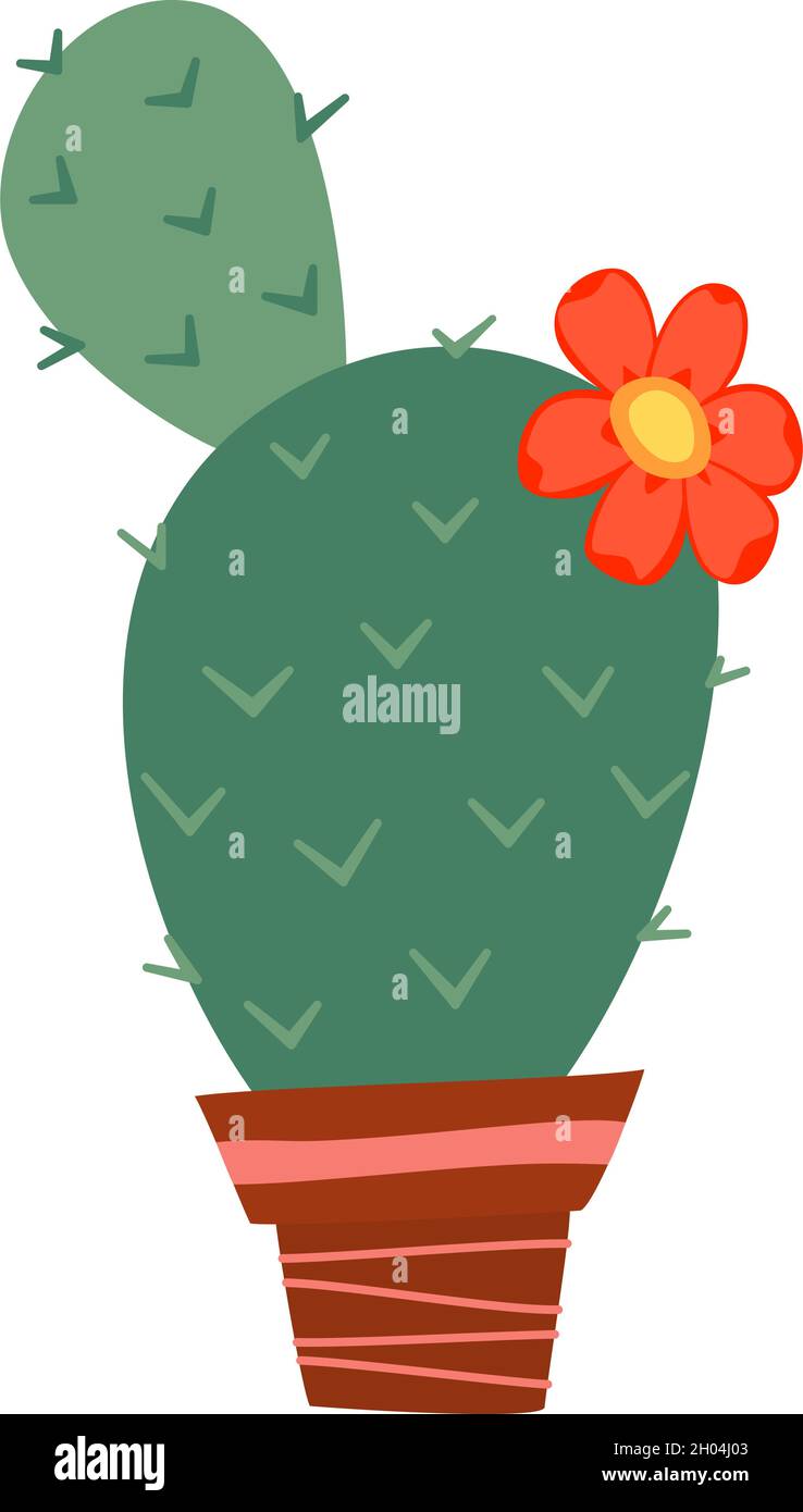 Cartoon colorful blooming cactus in a pot. Beautiful domestic plant ...