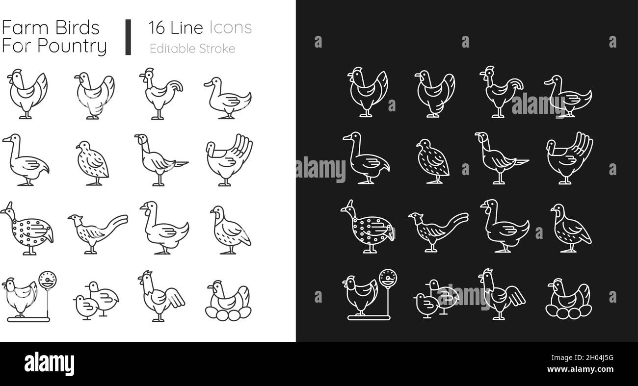 Farm birds for poultry linear icons set for dark and light mode Stock ...
