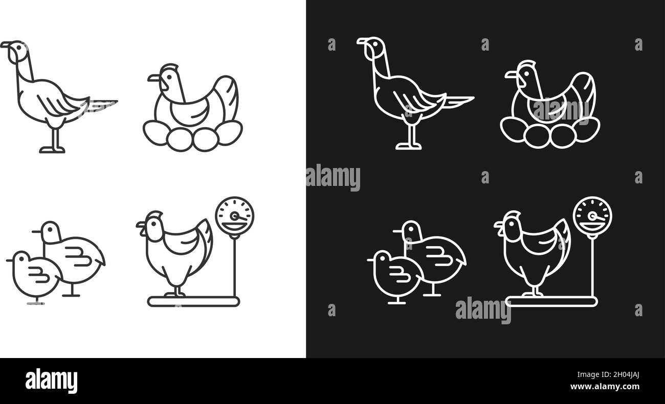 Domestic hens linear icons set for dark and light mode Stock Vector ...