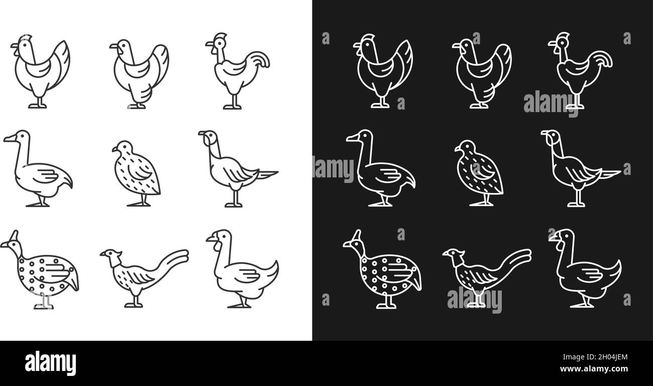 Domesticated birds linear icons set for dark and light mode Stock ...