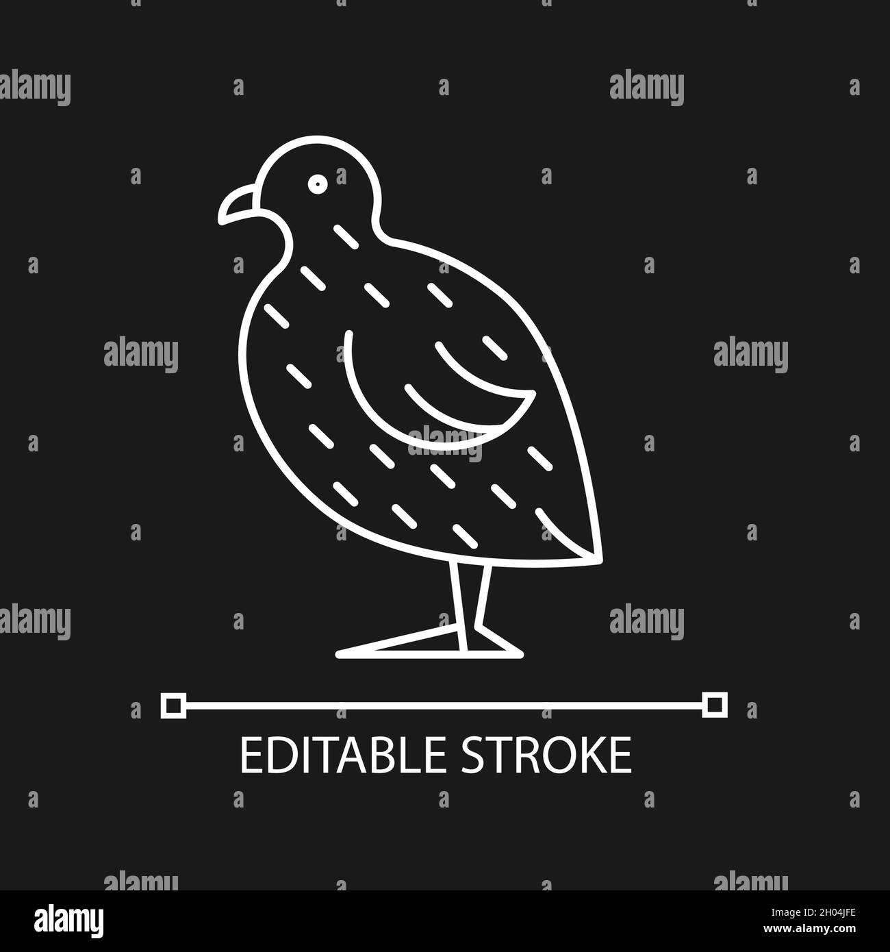 Japanese quail linear icon for dark theme Stock Vector Image & Art - Alamy