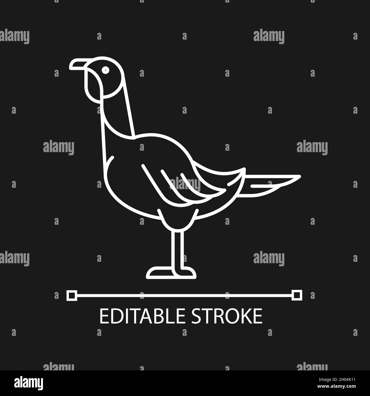 Female turkey drawing Stock Vector Images - Alamy