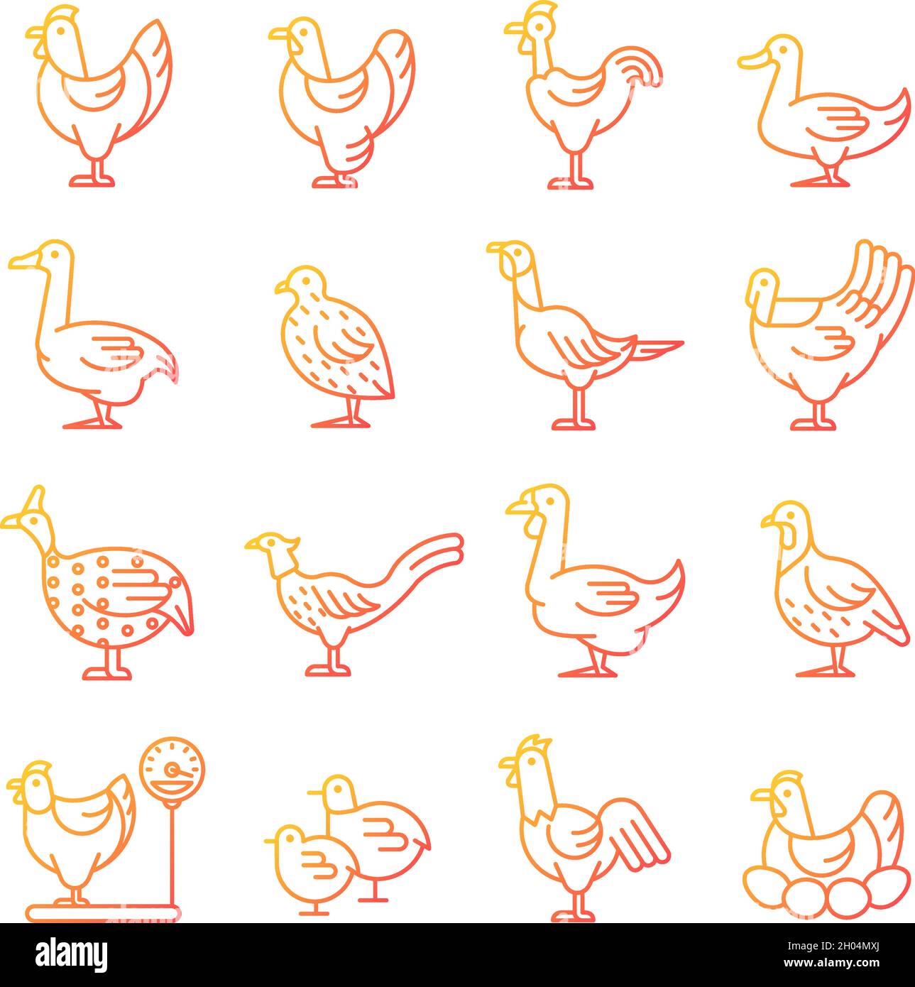 Farm birds for poultry gradient linear vector icons set Stock Vector ...