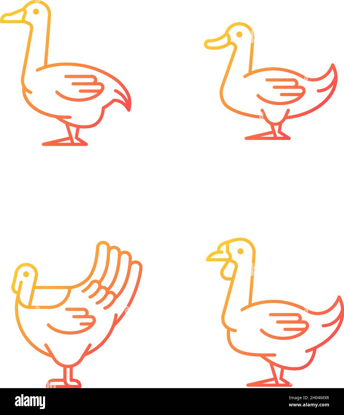 Waterfowl gradient linear vector icons set Stock Vector Image & Art - Alamy