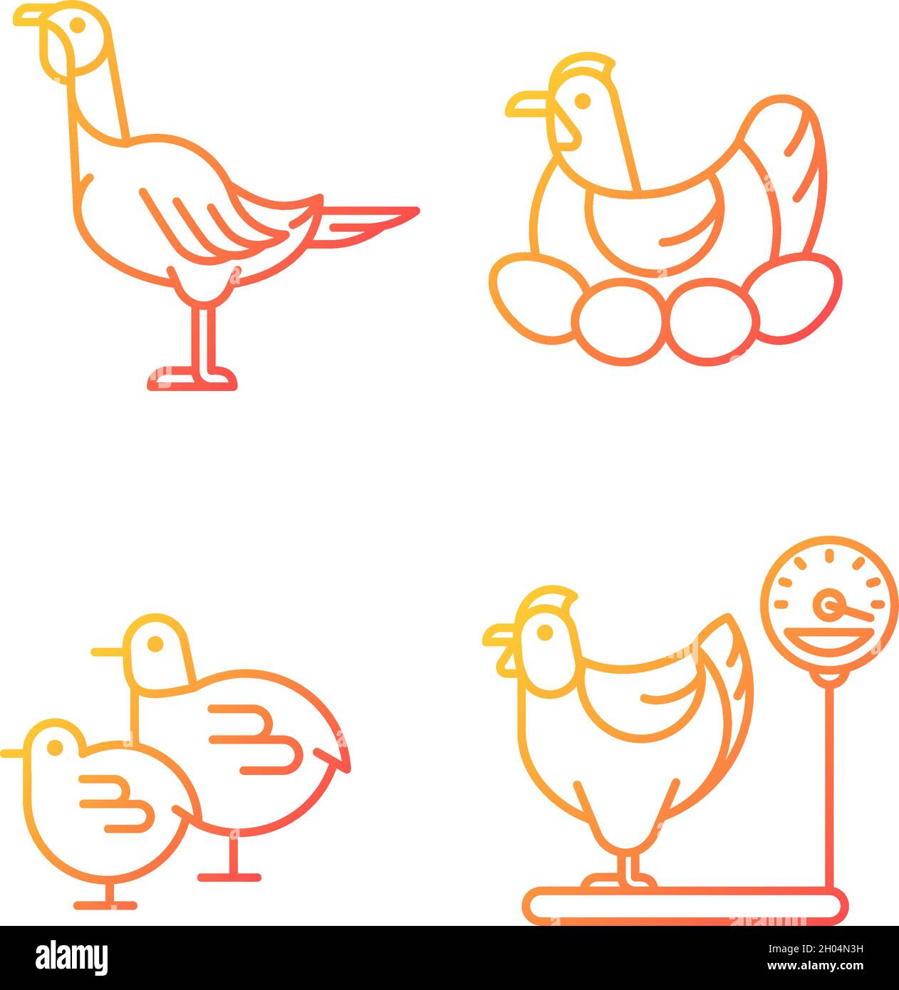 Domestic hens gradient linear vector icons set Stock Vector Image & Art ...