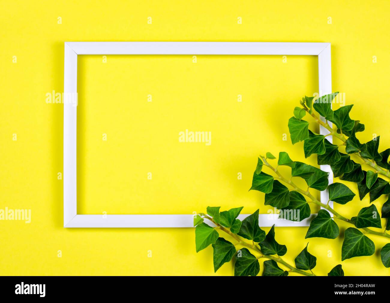 Yellow ivy border hi-res stock photography and images - Alamy