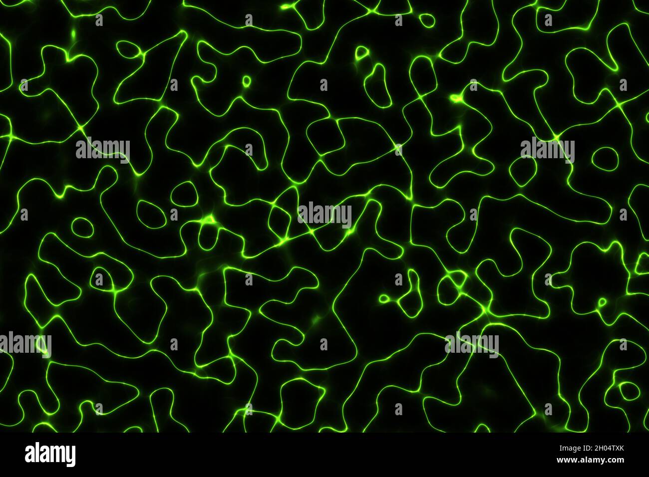 Pattern of green cells on black background Stock Photo - Alamy