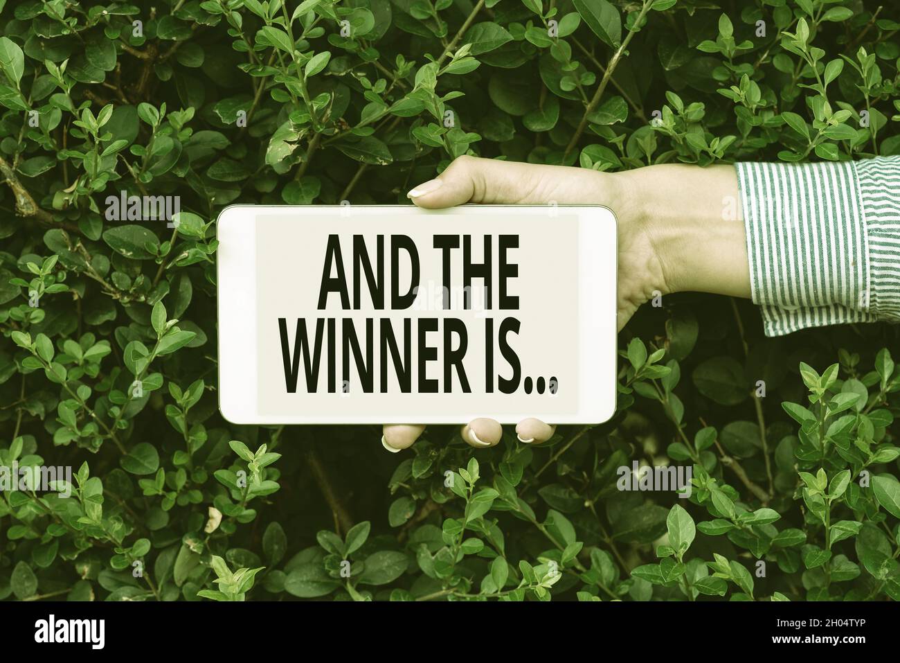 Sign displaying And The Winner Is. Word Written on announcing who got ...