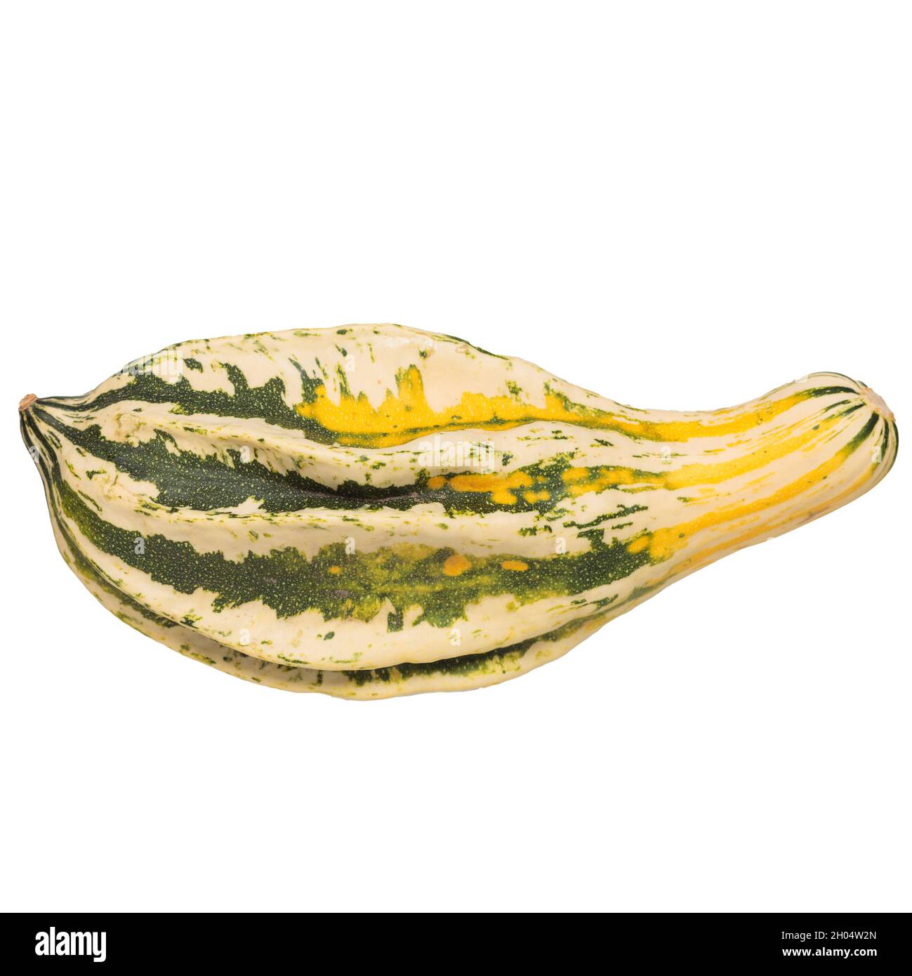 Ornamental gourds Cut Out Stock Images & Pictures - Alamy