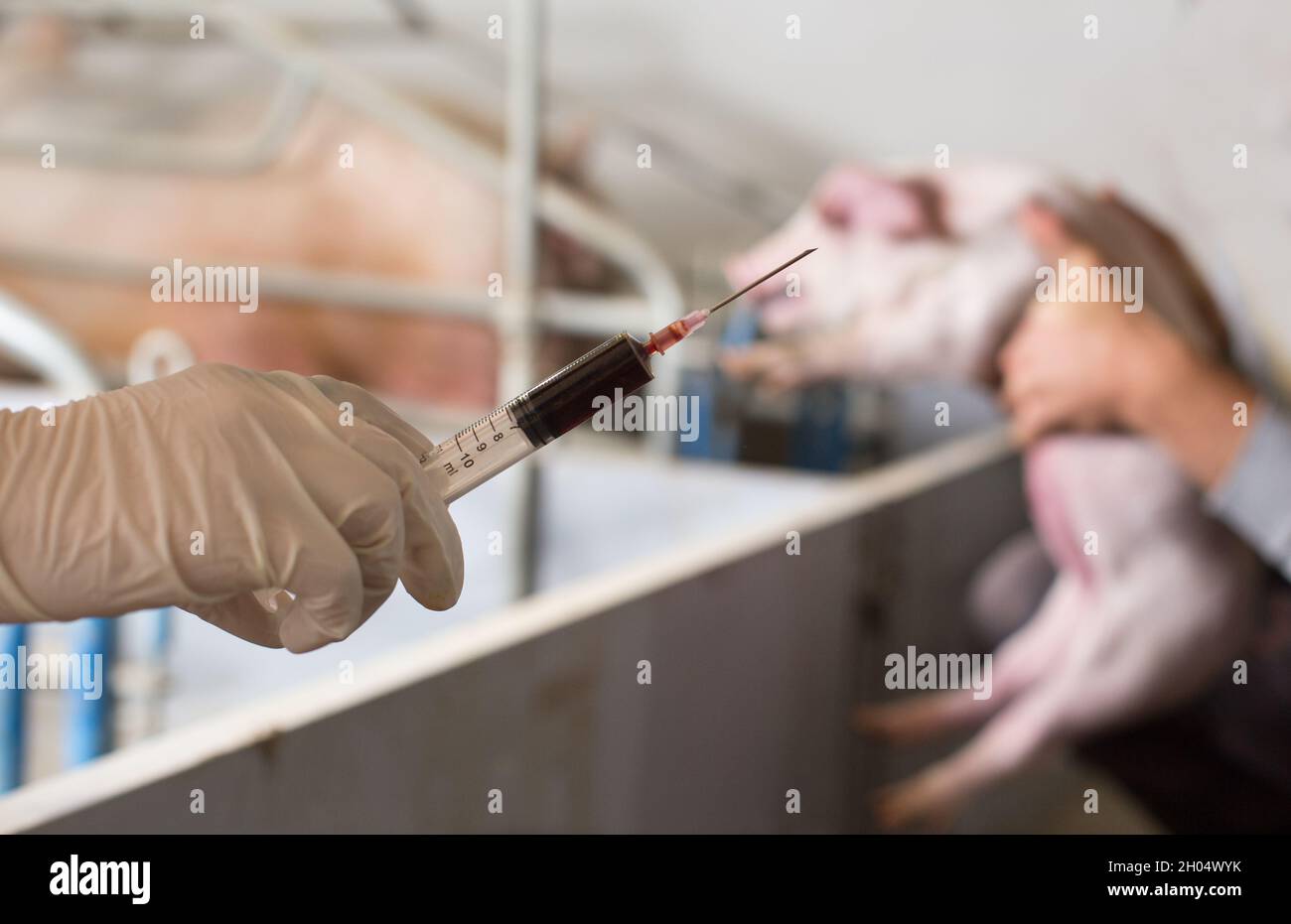 Antibiotics in farming hi-res stock photography and images - Alamy