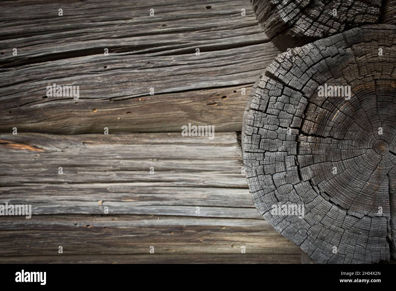 Wooden logs of an old house. Close-up. Weathered natural gray wood ...