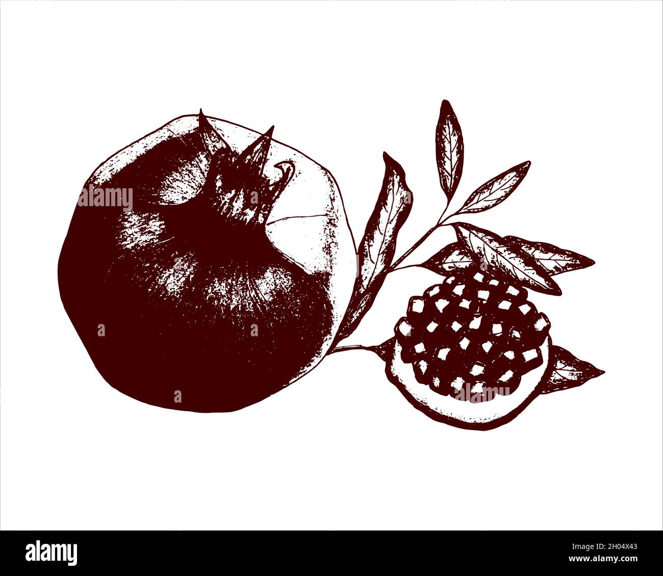 Pomegranate imprint stamp, sketch handmade pencil drawing, slice with ...