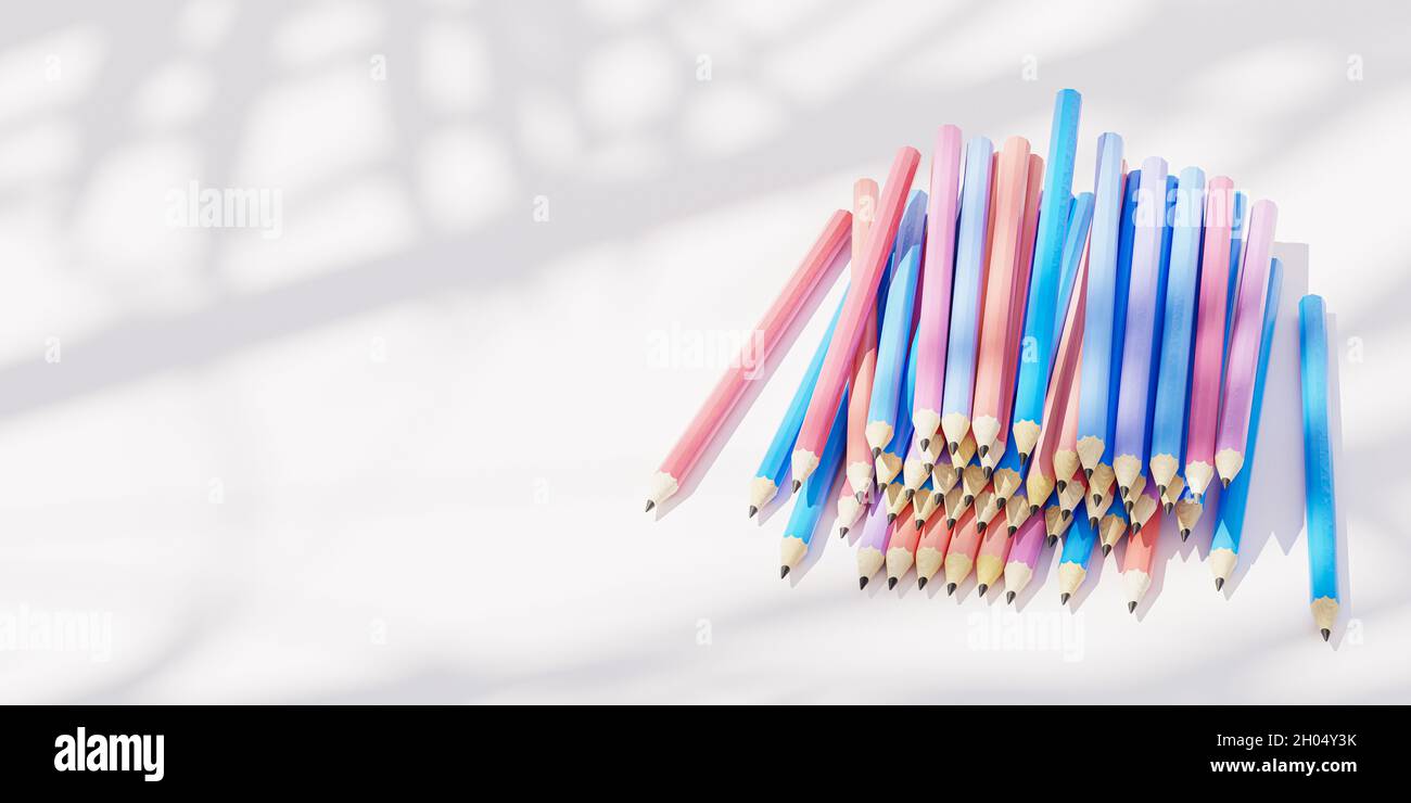 Graphite pencils on white background with shadows and sunlight, banner ...