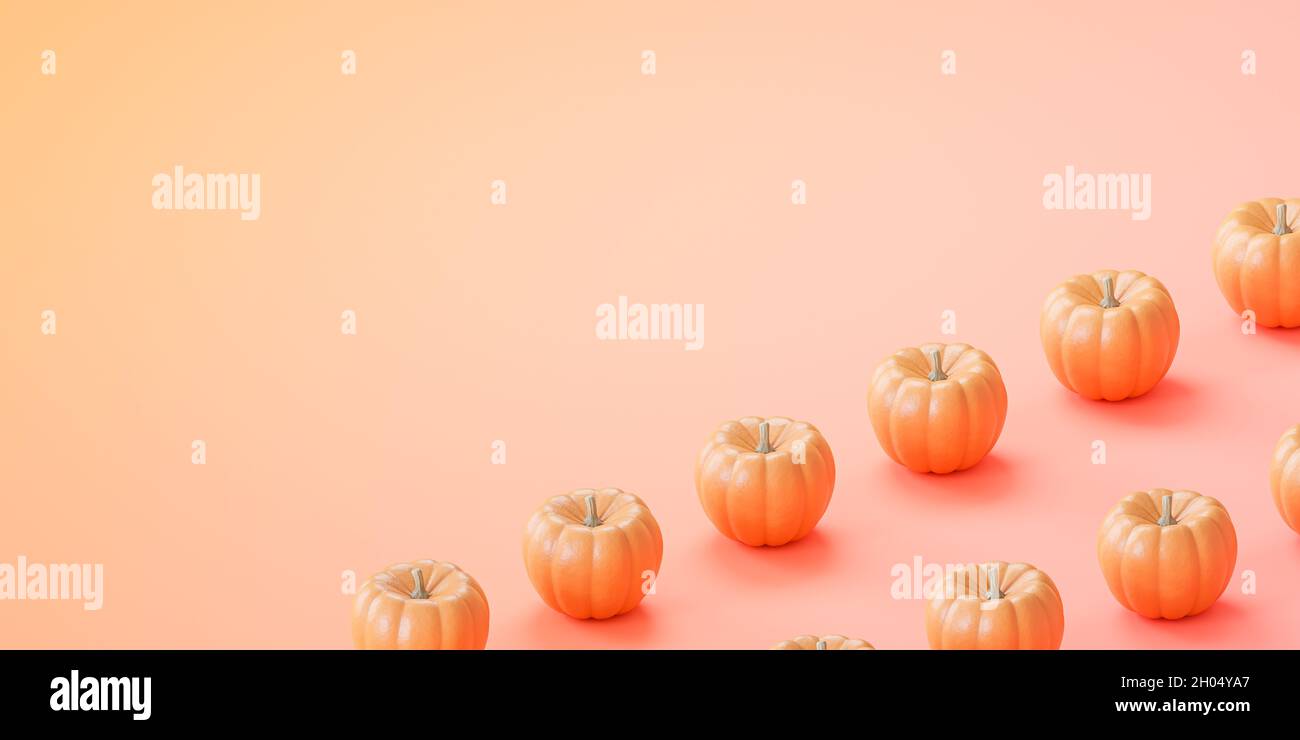 Pumpkins on gradient background for advertising on autumn holidays or ...