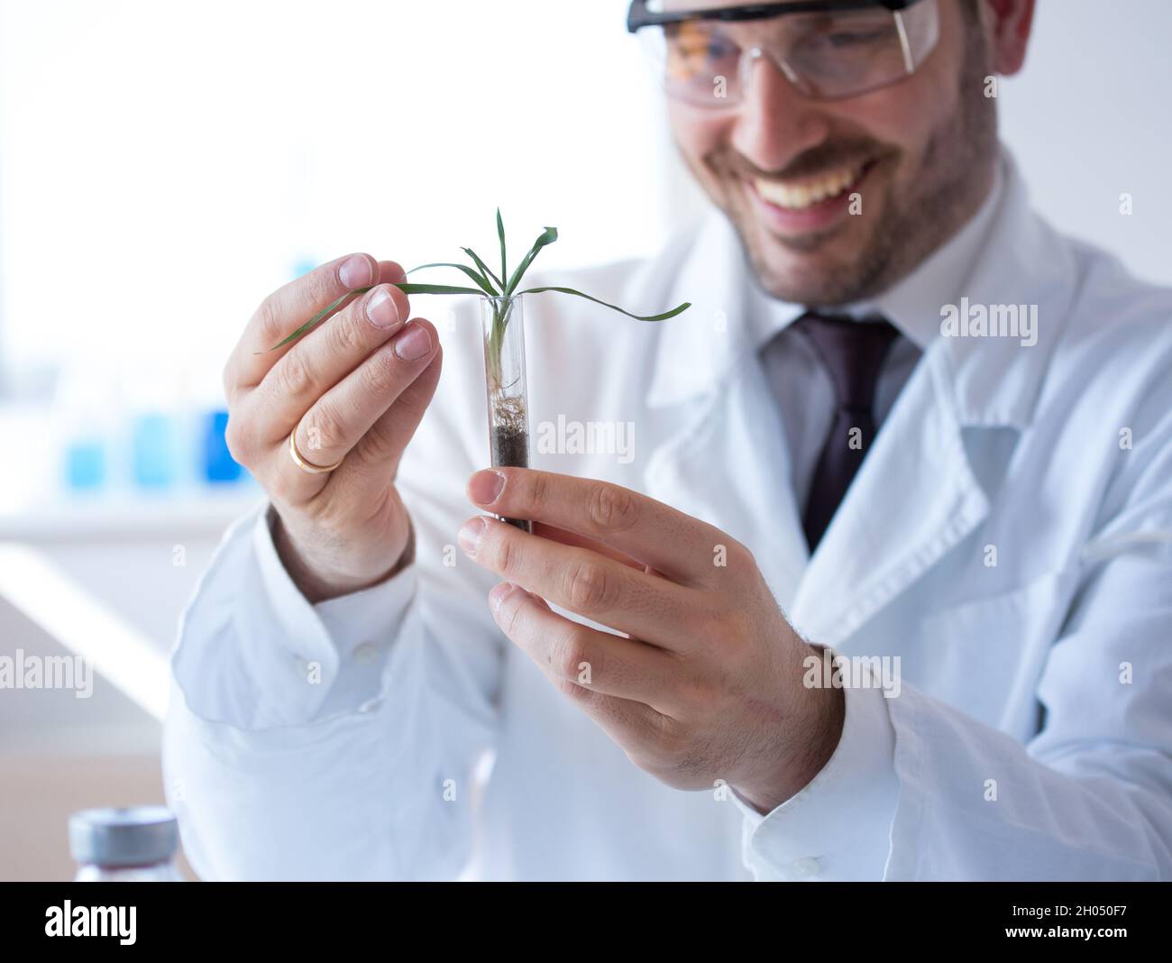 Biologist analyzing seedlings growth in test tube in laboratory ...