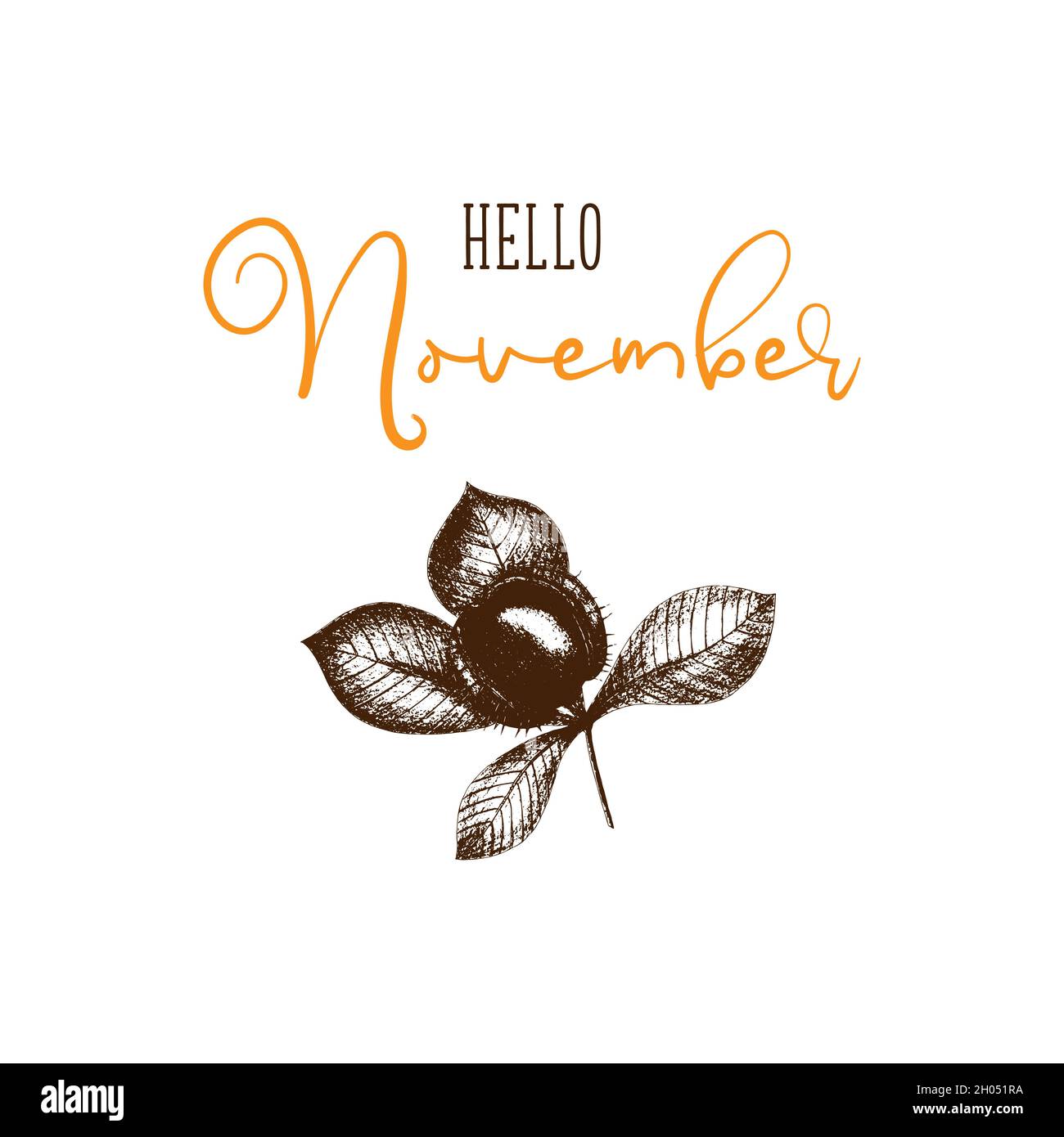 Hello November vector chestnut template hand drawing, design for banner ...