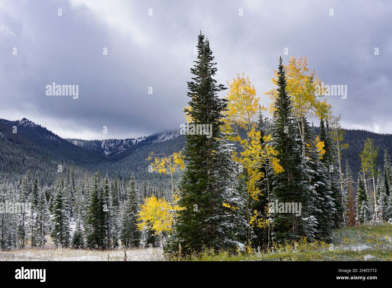 Autumn view snowy mountain hi-res stock photography and images - Alamy