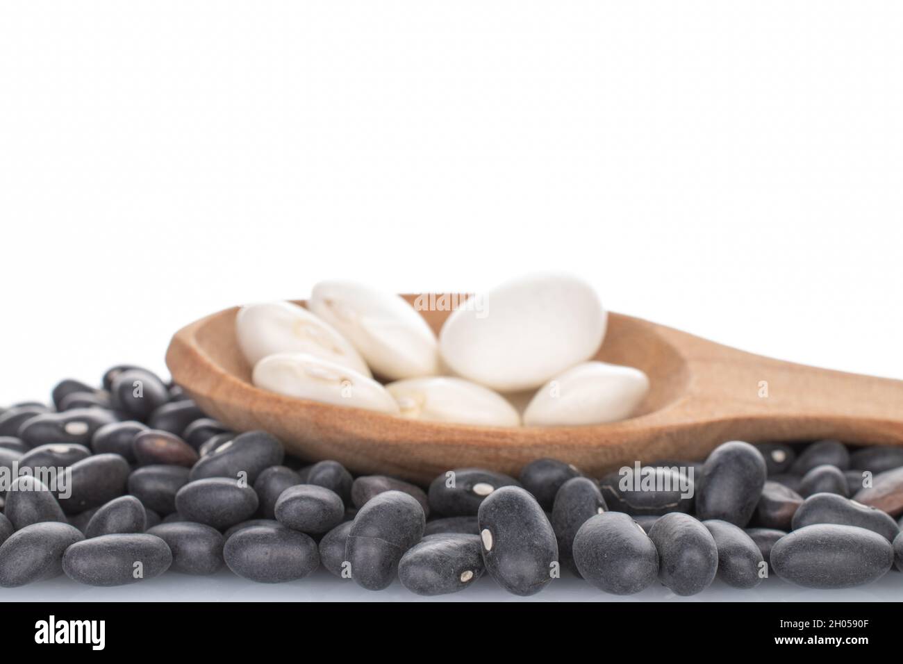 Uncooked organic, black and white dried beans with a wooden spoon ...