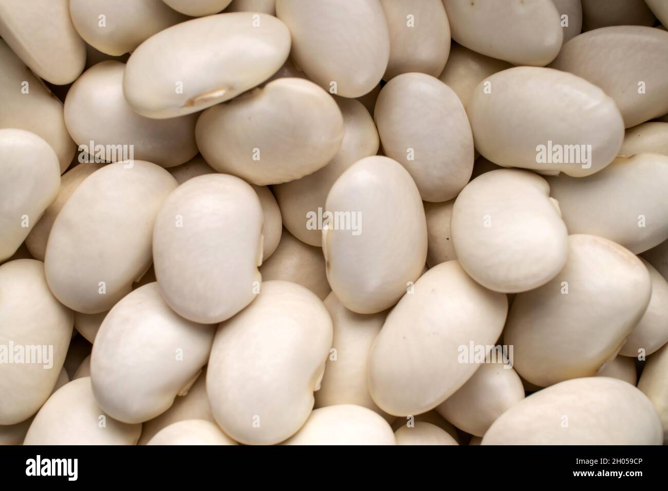 Dried grains of organic white beans, top view Stock Photo - Alamy