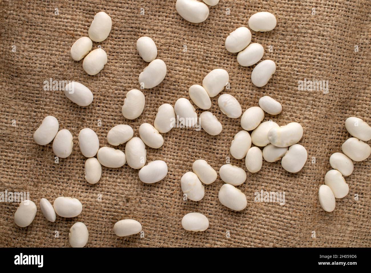 Several dried grains of organic white beans on a jute fabric, top view ...