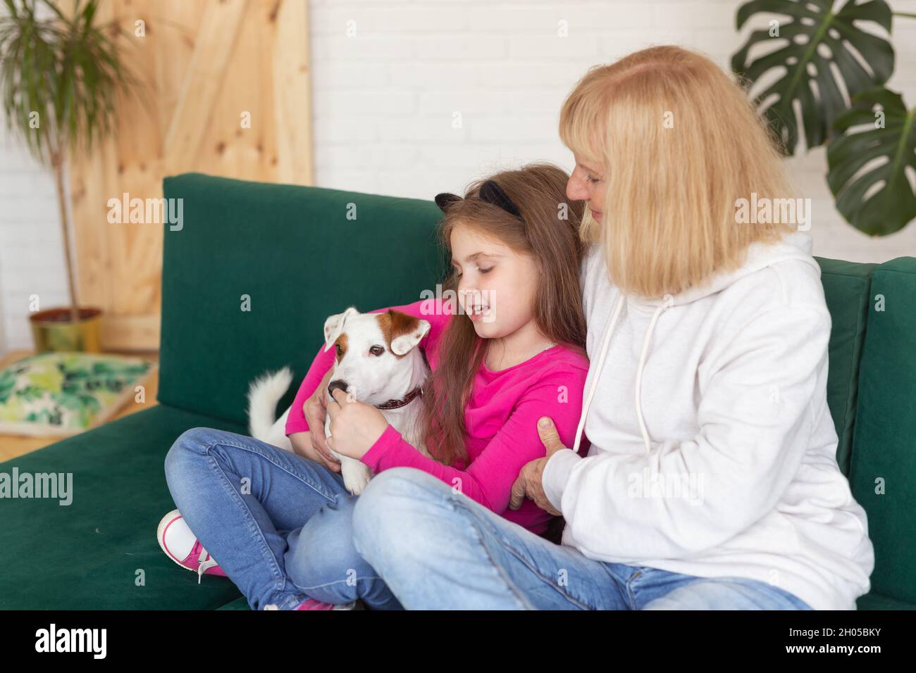 Happy granddaughter and grandmother sitting on sofa with jack russell ...