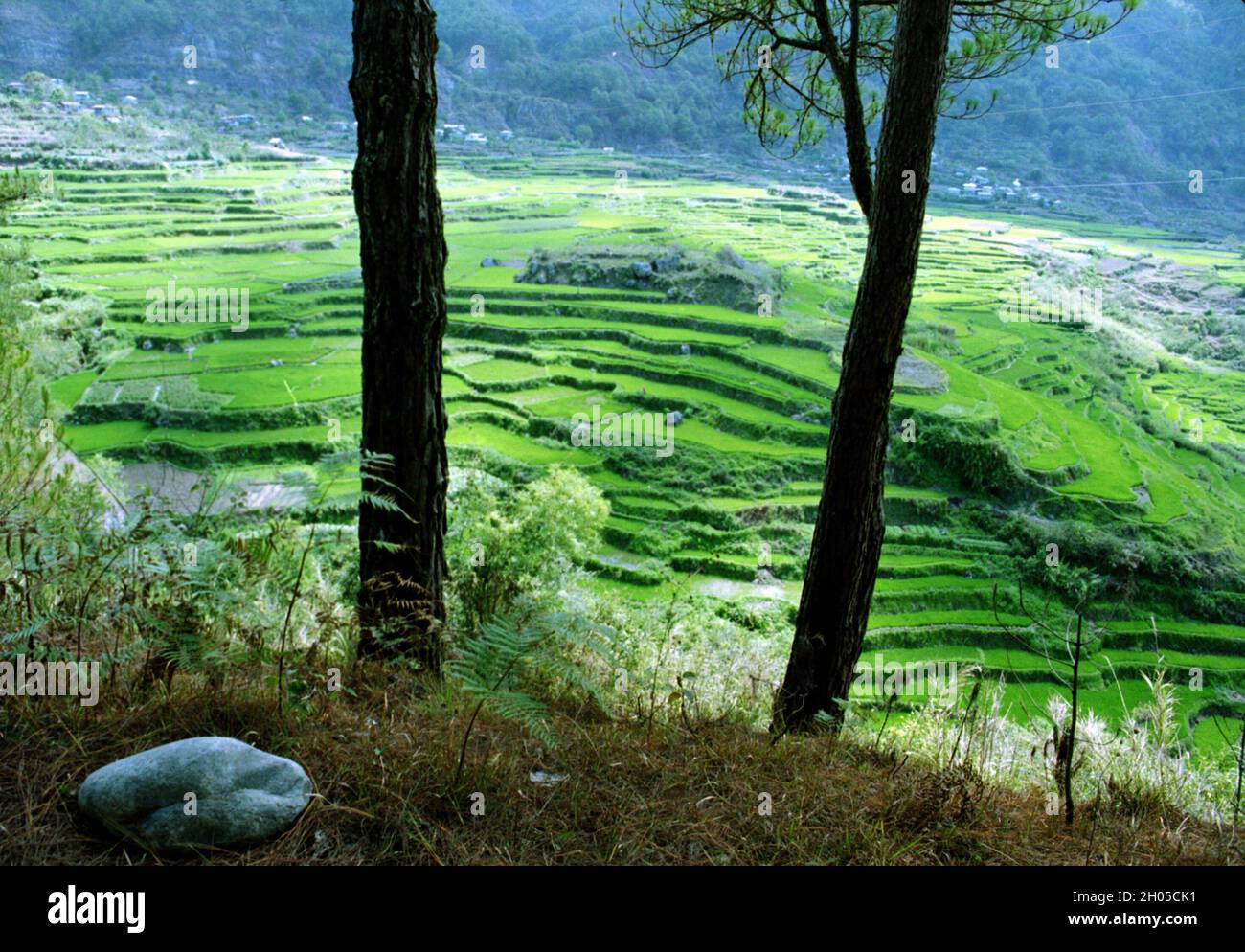 Sagada rice terraces, Mt Province, Philippines. 2003 Stock Photo - Alamy