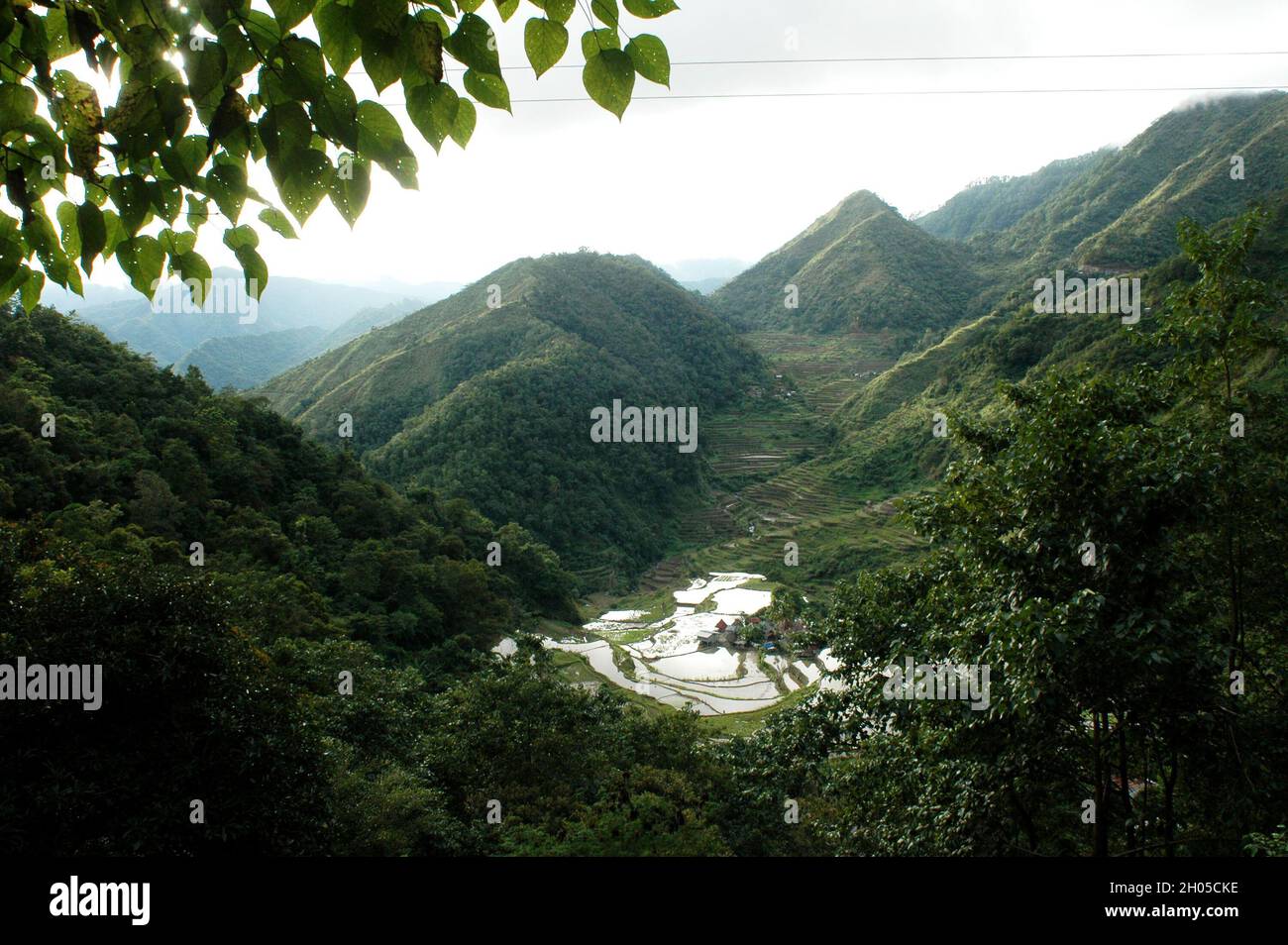 Ifugao has the world renowned Banaue Rice Terraces as well as lesser ...