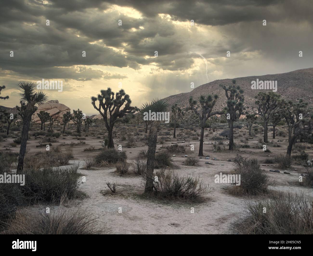 Dust storm in mojave desert hi-res stock photography and images - Alamy