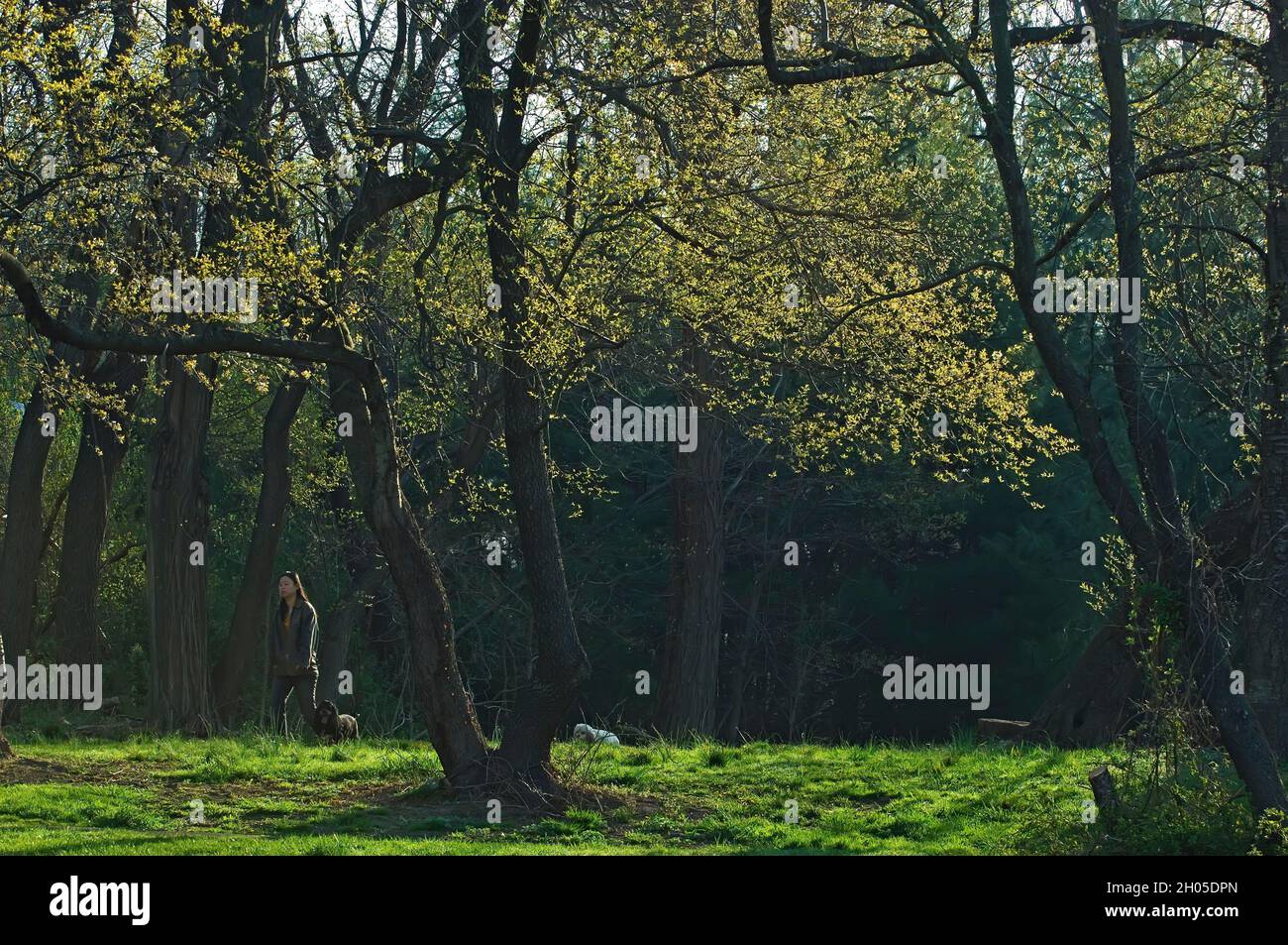 People walking spring city hi-res stock photography and images - Alamy