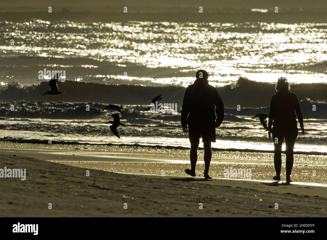 Walking at the seashore Stock Photo - Alamy